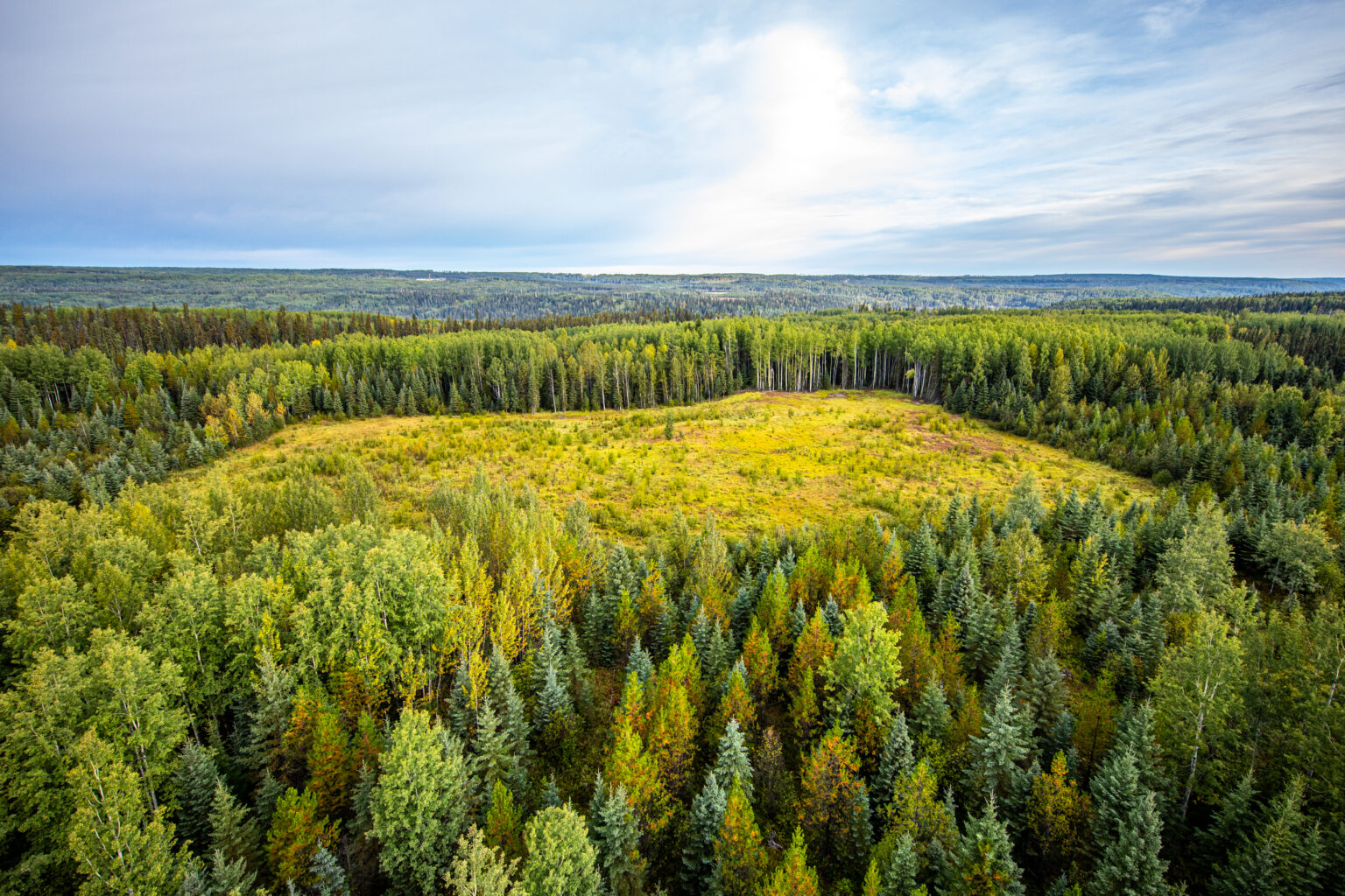 Safe Digging Month: Remember to Click Before You Dig - ARC Resources