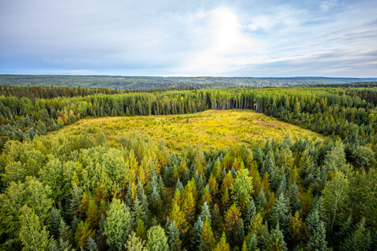 Safe Digging Month: Remember to Click Before You Dig - ARC Resources